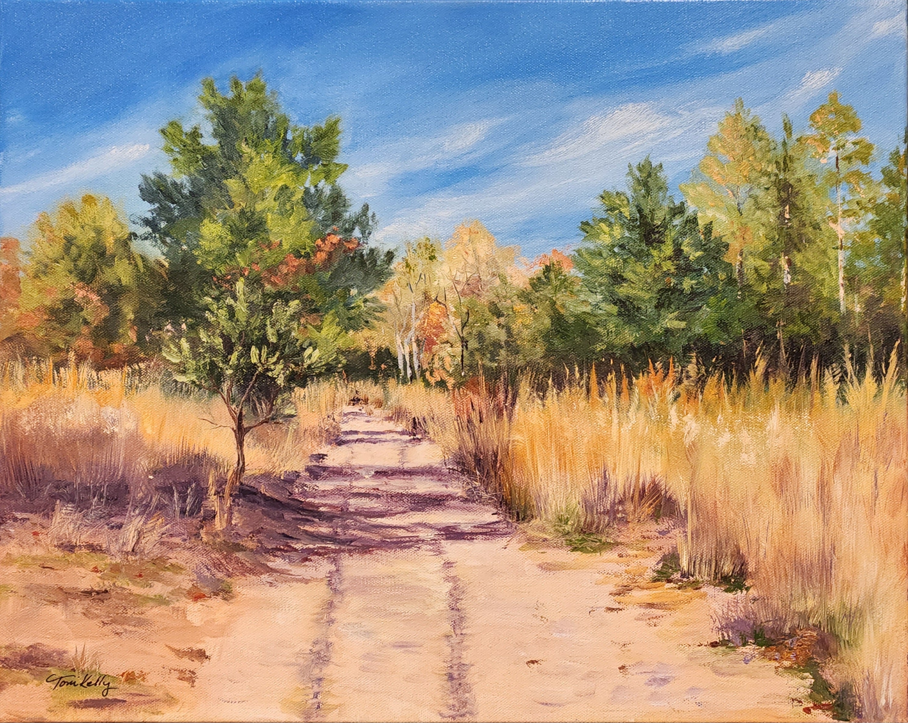 Solitude on Dead Pond Trail | Toni Kelly – Painted Finch Gallery