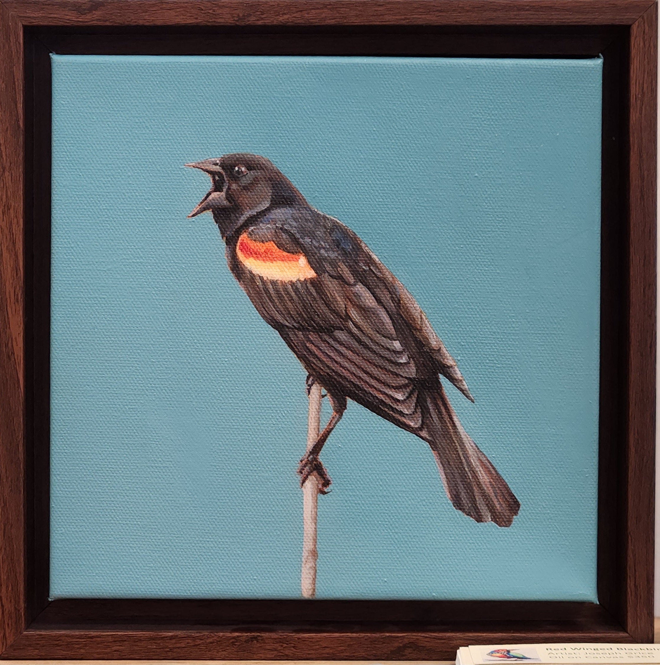 Red Winged Blackbird | Joseph Grice | Painted Finch Gallery
