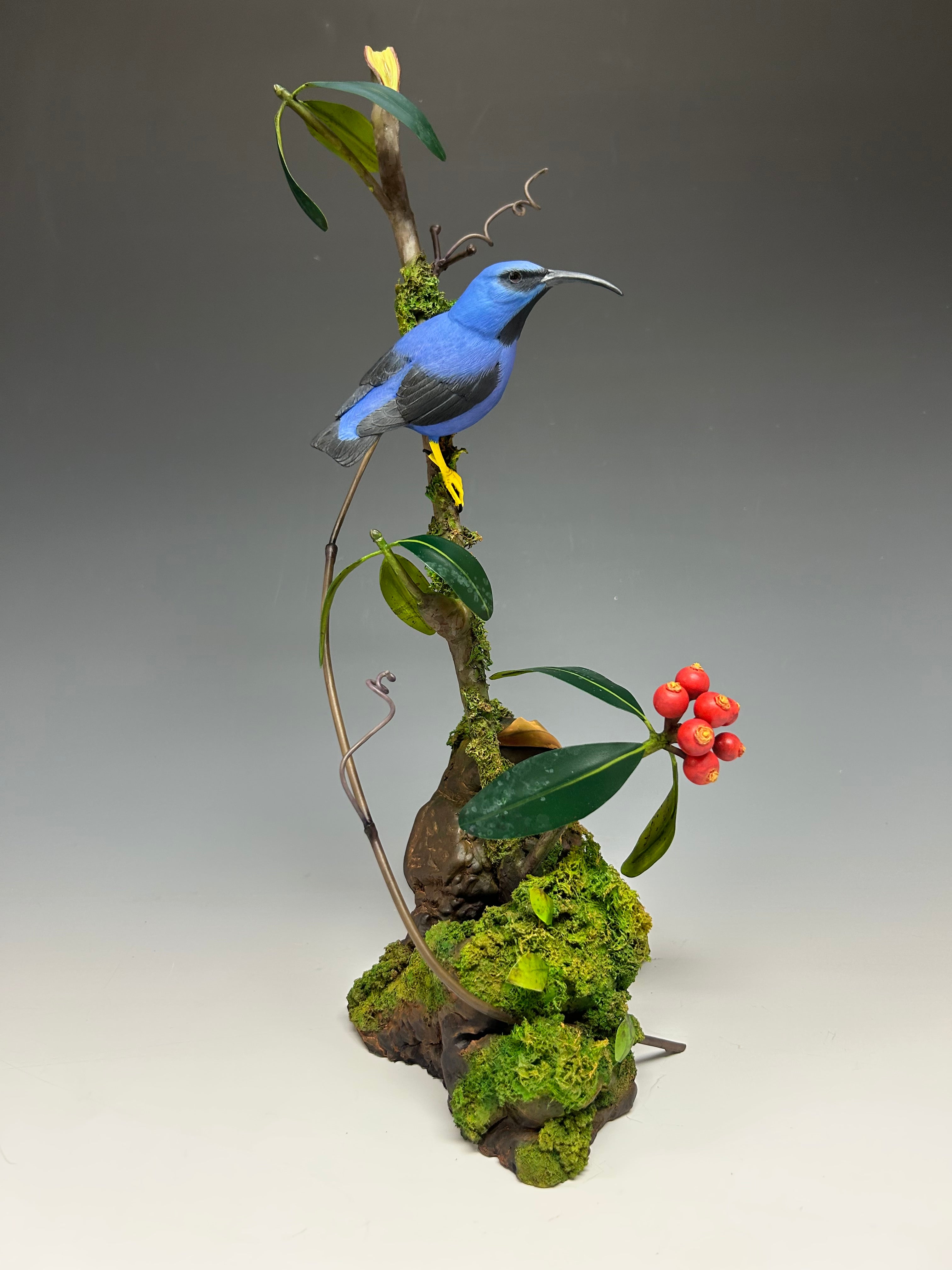 Purple Honeycreeper – Painted Finch Gallery