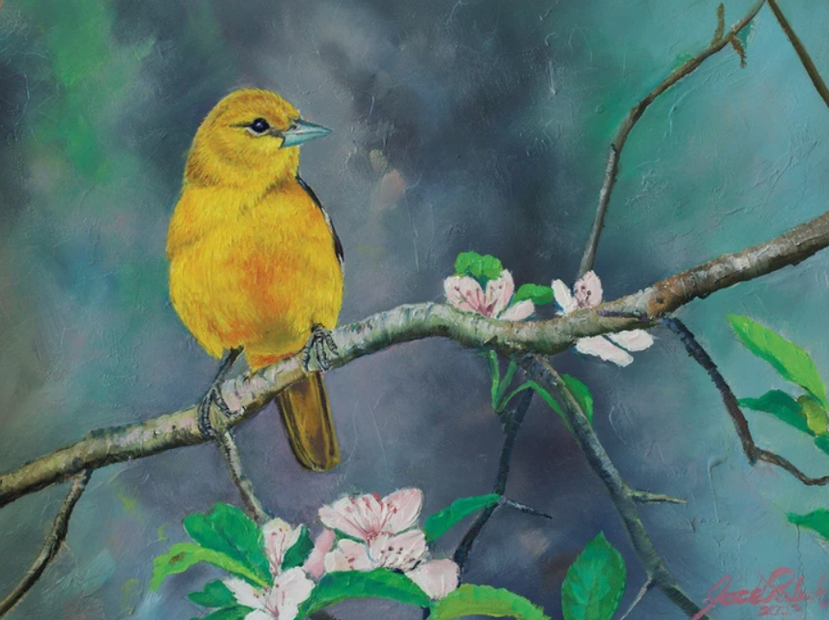 Mrs. Oriole | Original | Jack Paluh – Painted Finch Gallery