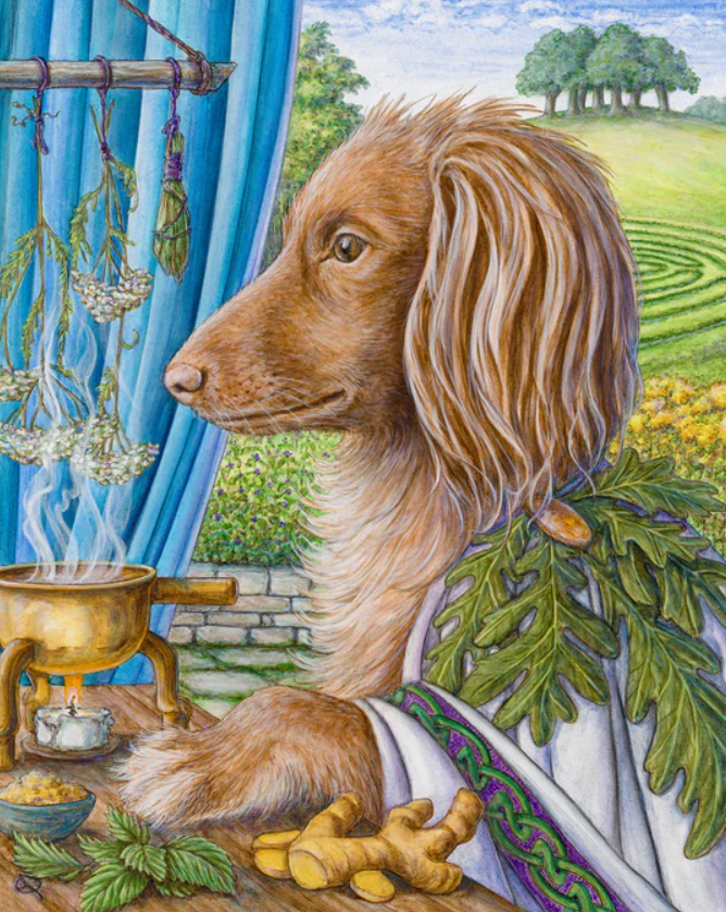 The Healer (Oliver) Print – Painted Finch Gallery