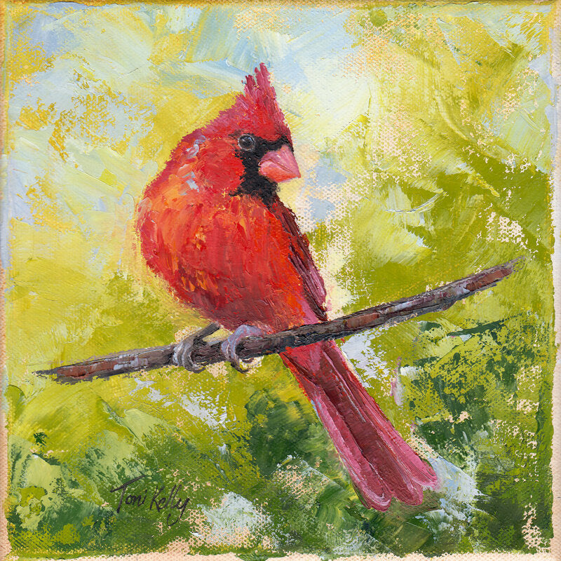 Dressed in Red | Toni Kelly – Painted Finch Gallery